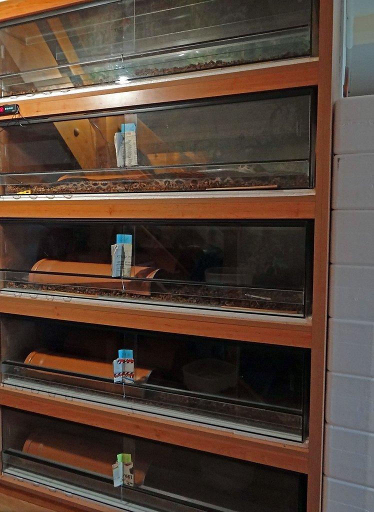 faunaportal.cz | Terária viz foto