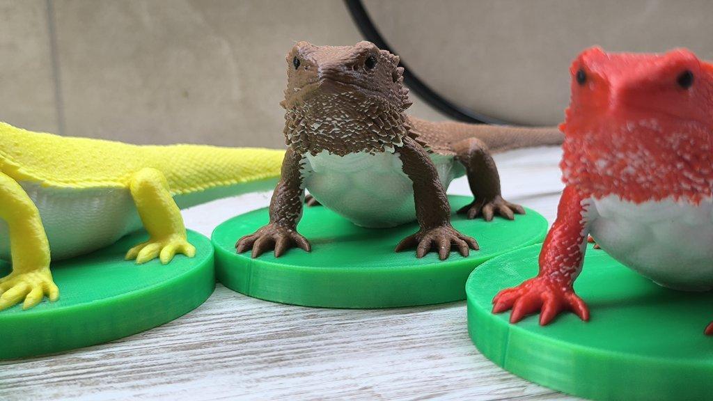 faunaportal.cz | Soška agamy